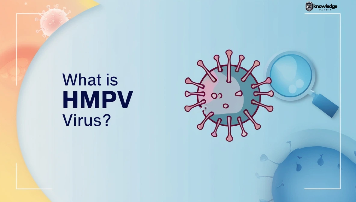What is HMPV Virus? - Symptoms, Treatment , Transmission